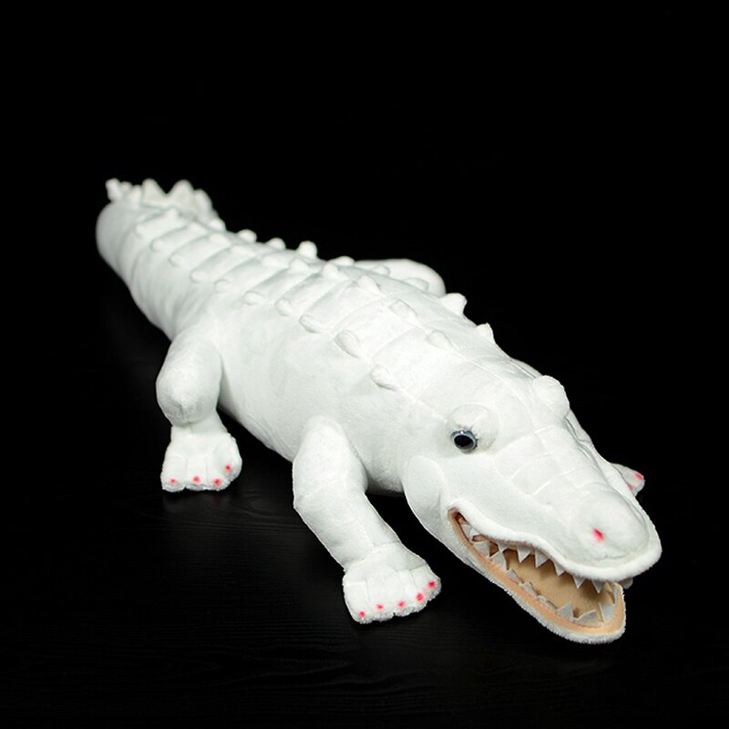 Albino Alligator Plush Toy - The Wacky Company