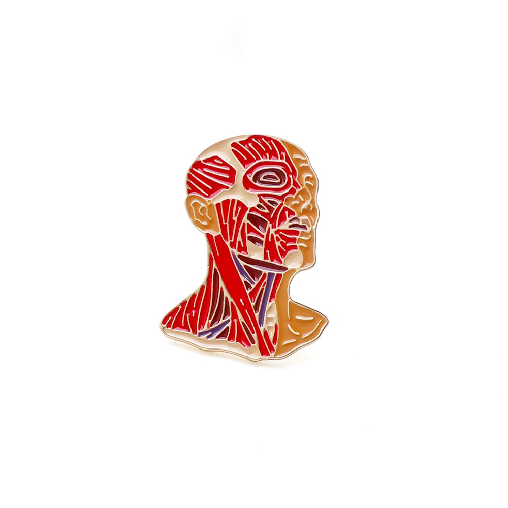 Anatomy Enamel Pin - The Wacky Company